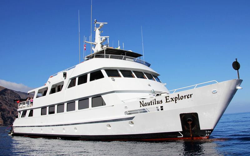 Nautilus Liveaboards - Socorro and Guadalupe Island Diving Nautilus Liveaboards - Socorro and Guadalupe Island Diving