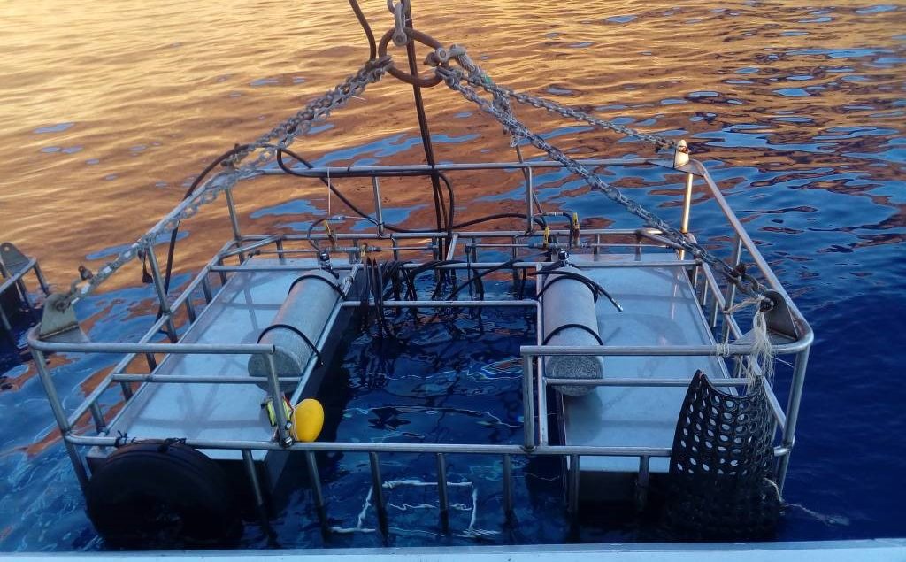 D*mned proud of our great white shark cages - Nautilus Liveaboards