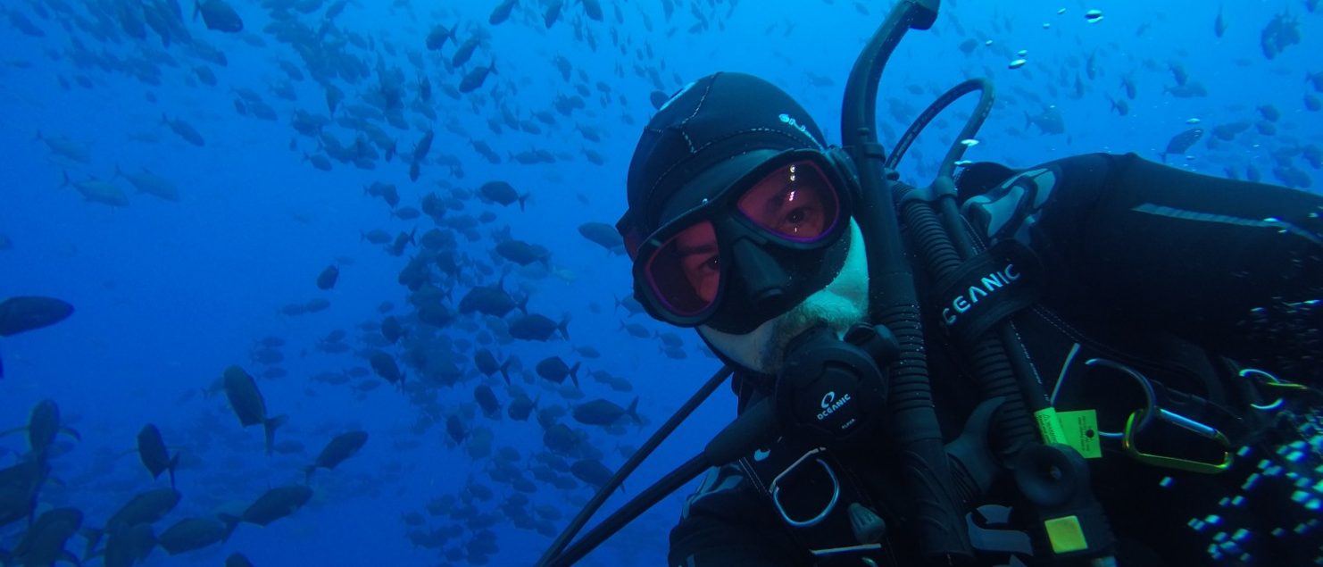 Schools and piles of sharks! - Nautilus Liveaboards Blog