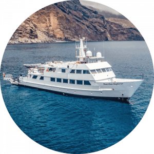 Nautilus Liveaboards - Liveaboard Diving in Mexico